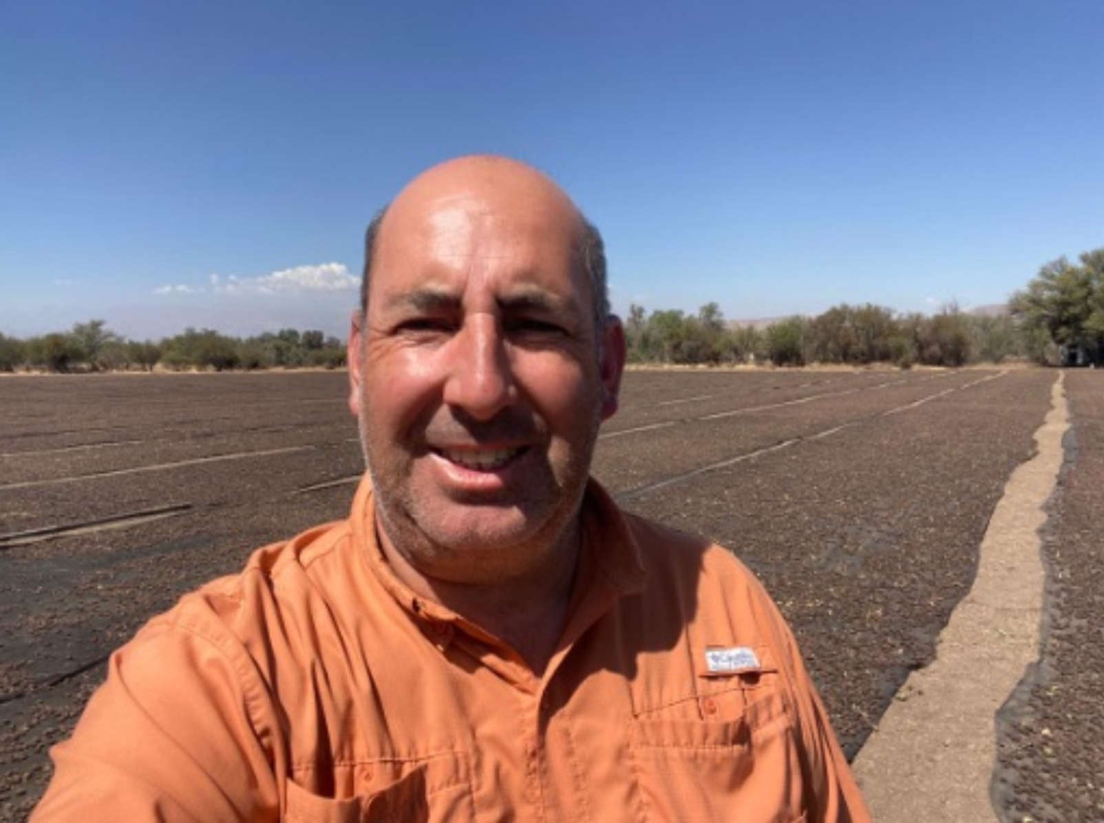 Chile Prunes Association – Exportación de Ciruelas Deshidratadas